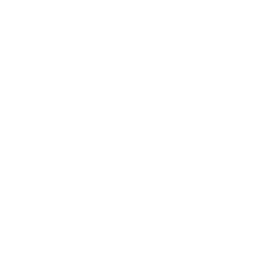 Proficium's Story – Proficium.com