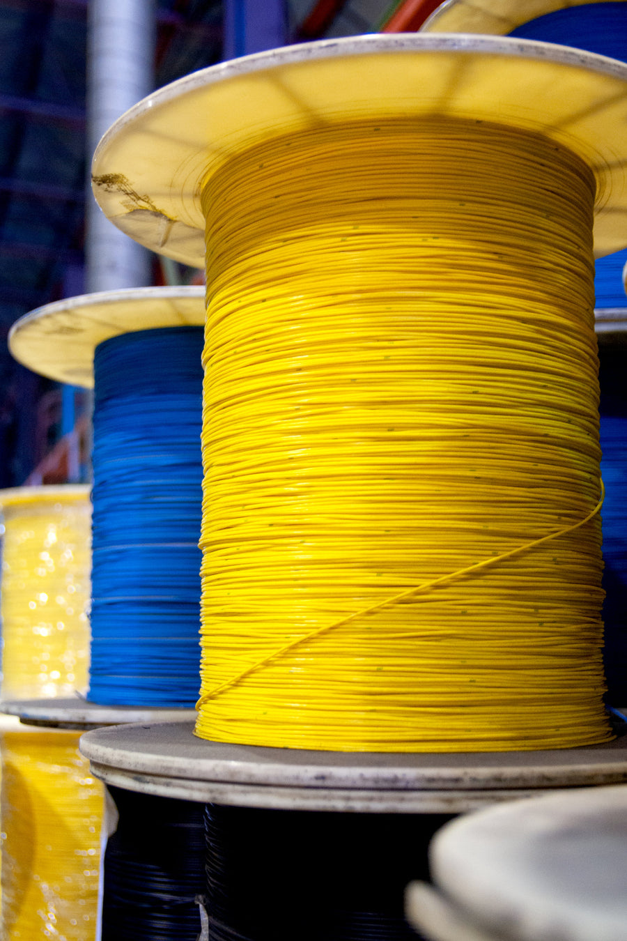 Proficium's Story – Proficium.com